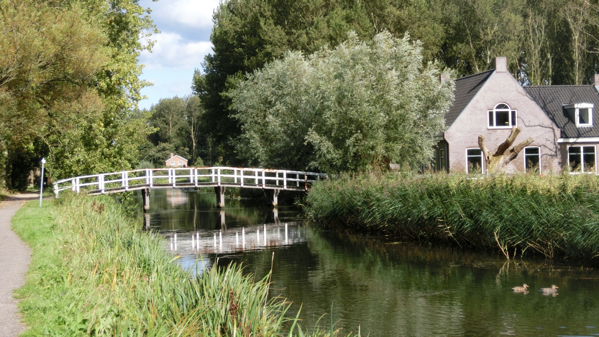 Boerderij Delftse Hout – Vera Wandelt