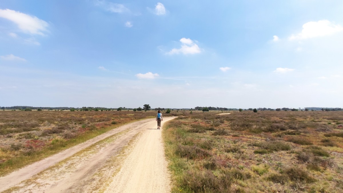 Strabrechtse Heide, wandelen van Geldrop naar Heeze – Vera Wandelt