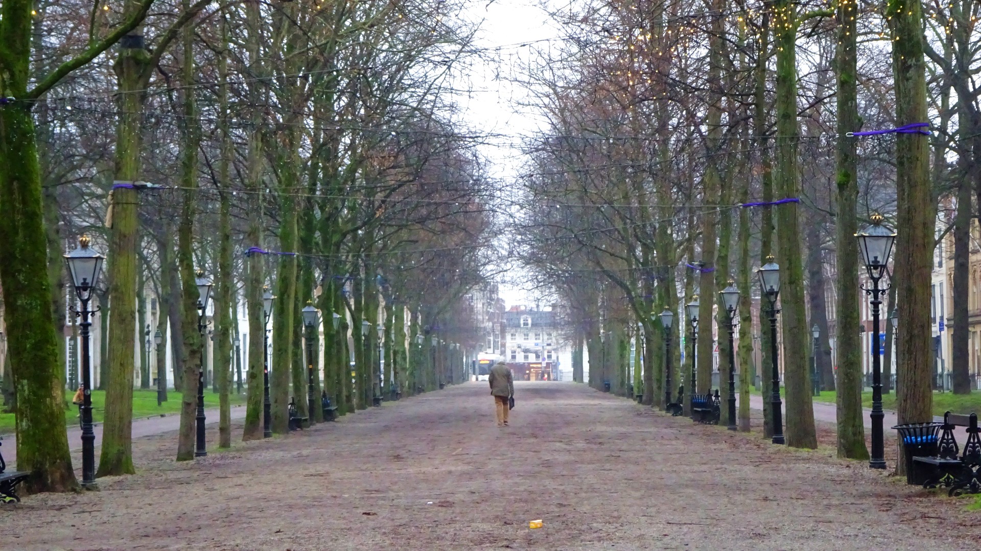 Liesje leerde Lotje lopen langs de Lange Lindelaan – Vera Wandelt