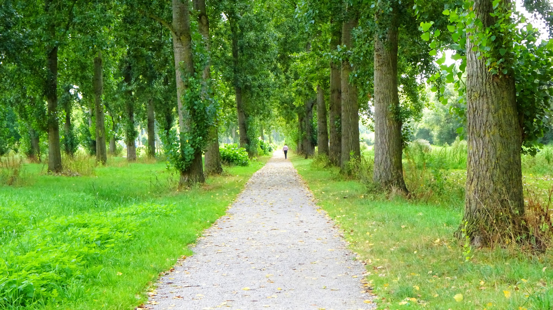 Capelle aan den IJssel, wandelen langs de Hollandse IJssel, door het ...